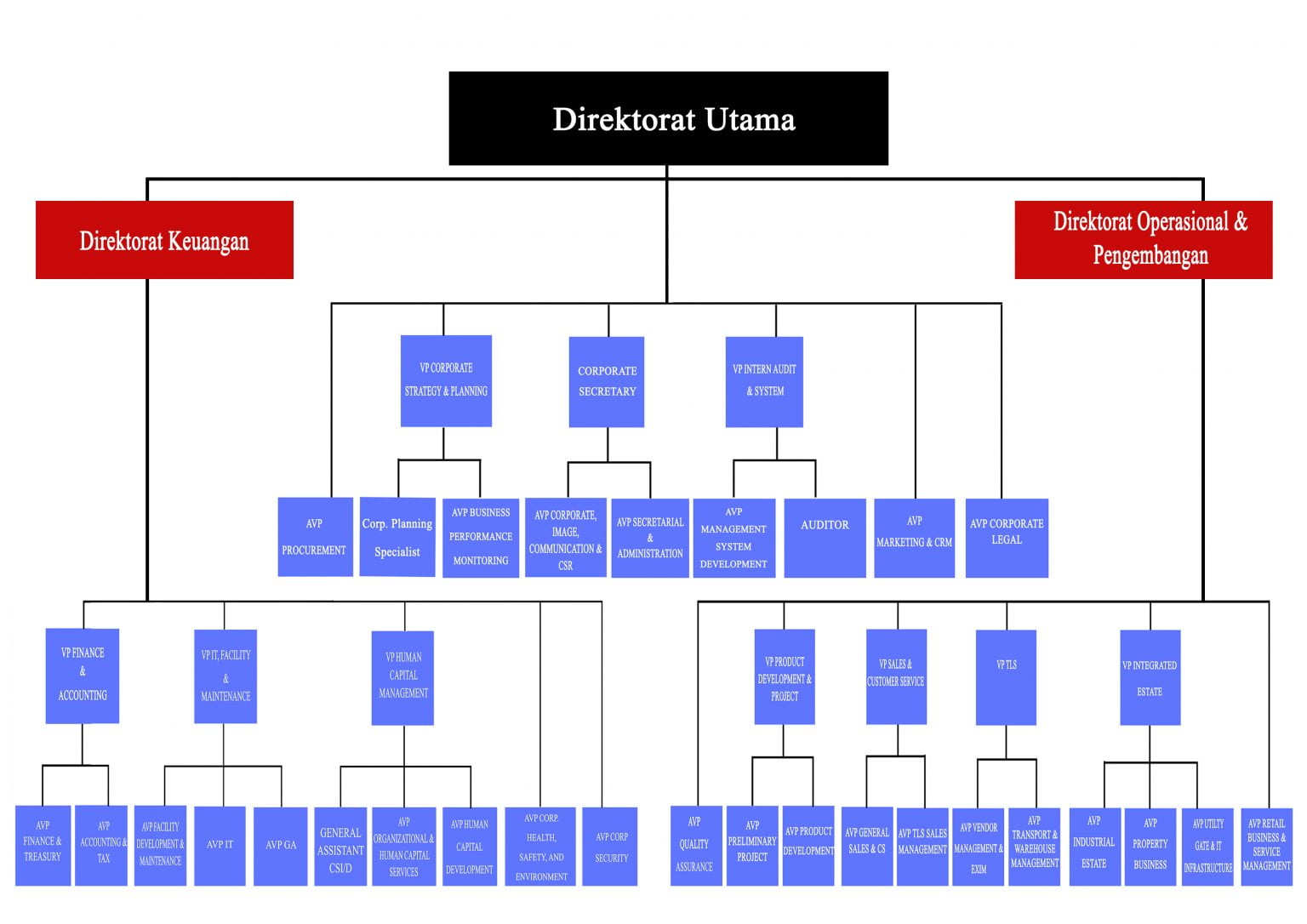 Struktur Organisasi CV, Kontraktor Dan UKM organisasi.co.id