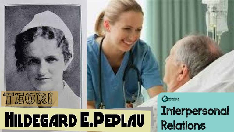 Interpersonal Relations, Hildegard E.Peplau Organisasi.co.id