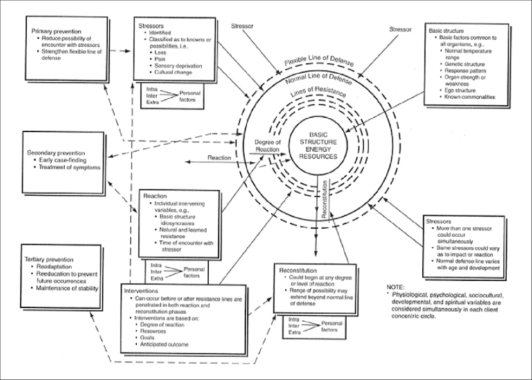 Systems Model Of Healthcare Theory Betty Neuman